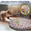 PAWSPIK Interactive Fast Rolling Play Mat Ball Cat Toy, Tan - Chewy.com