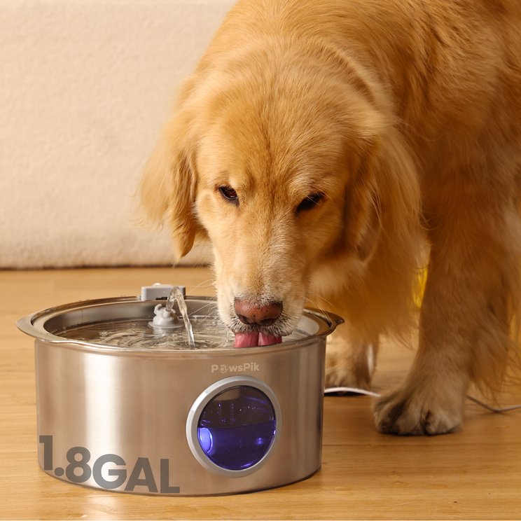 Dog Water Fountains: Best Dog Fountain Prices (Free Shipping) | Chewy