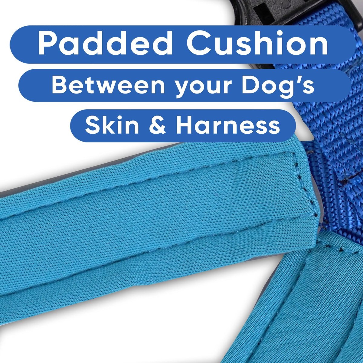 PAWTITAS Nylon Reflective Back Clip Dog Harness, Blue, X-Small: 14 to ...