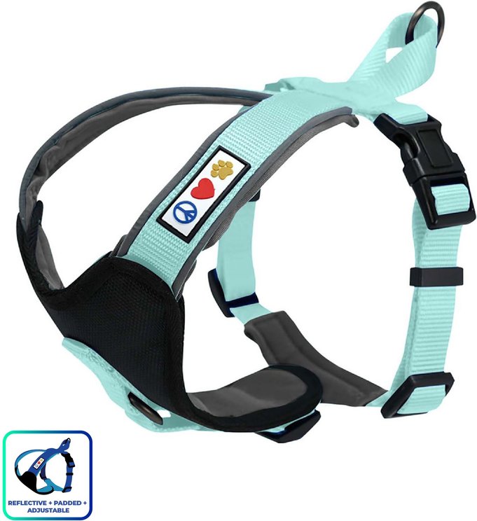 Puppy Harnesses – Lowest Prices | Chewy