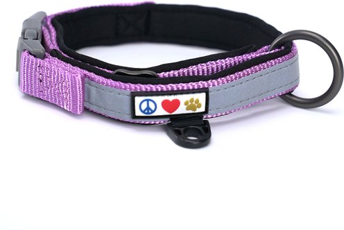 Comfortable Dog Collars (Free Shipping) | Chewy