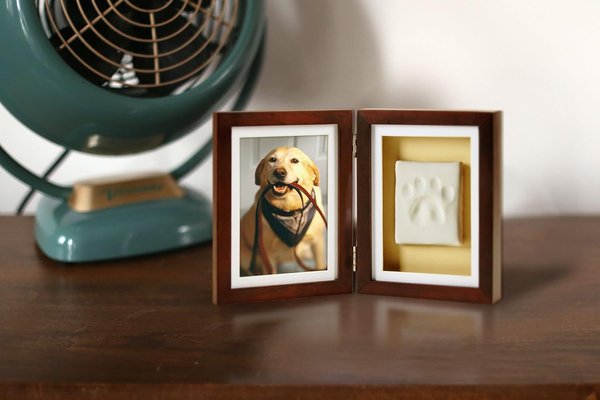 PEARHEAD Pawprints Dog & Cat Desk Frame, 4 x 6 in - Chewy.com
