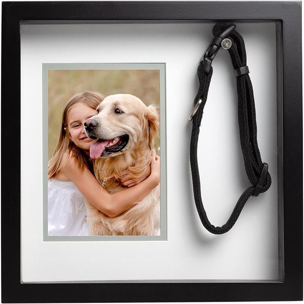 PAWPRINTS REMEMBERED Memorial Picture Frame with Ribbon & Tag - Chewy.com