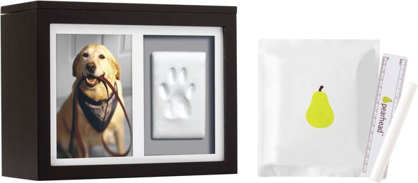 PEARHEAD Pet Memory Box, Black - Chewy.com