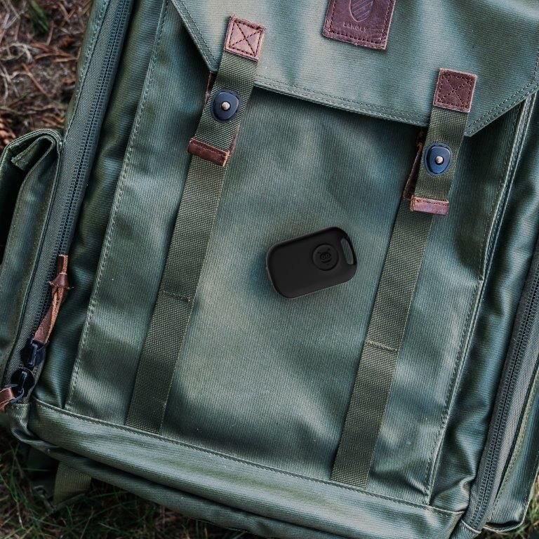 PEBBLEBEE Dog & Cat GPS & Activity Tracker, Black - Chewy.com