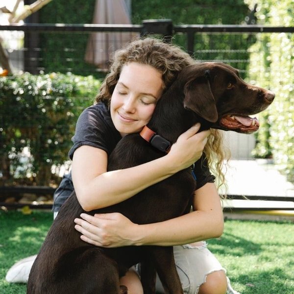 PEBBLEBEE Dog & Cat GPS & Activity Tracker, Black - Chewy.com