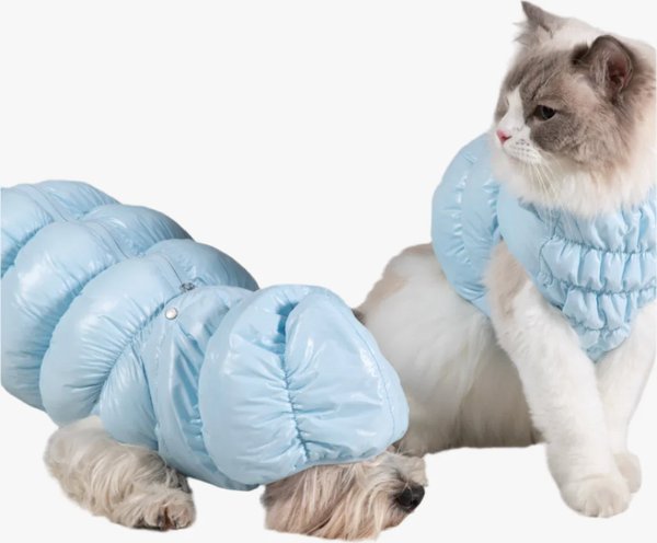 PEBOT Dog & Cat Puffer Coat, Powder Blue, 10 - Chewy.com
