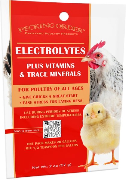 PECKING ORDER Electrolyte Formula Chicken Supplement, 2-oz jar - Chewy.com