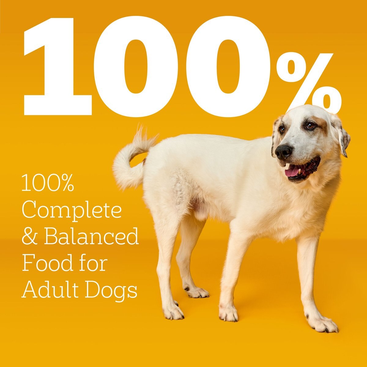 PEDIGREE Big Dogs Adult Complete Nutrition Large Breed Roasted Chicken ...