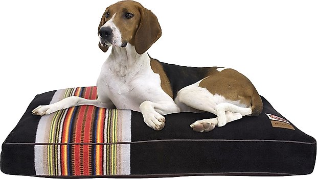 PENDLETON DOG BEDS (Free Shipping) | Chewy