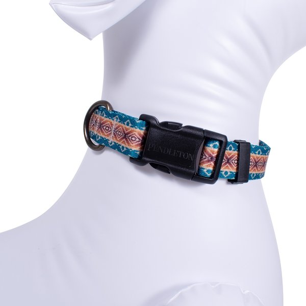 PENDLETON Adventure Dog Collar, Pagosa Spring, Large: 16 to 22-in neck ...