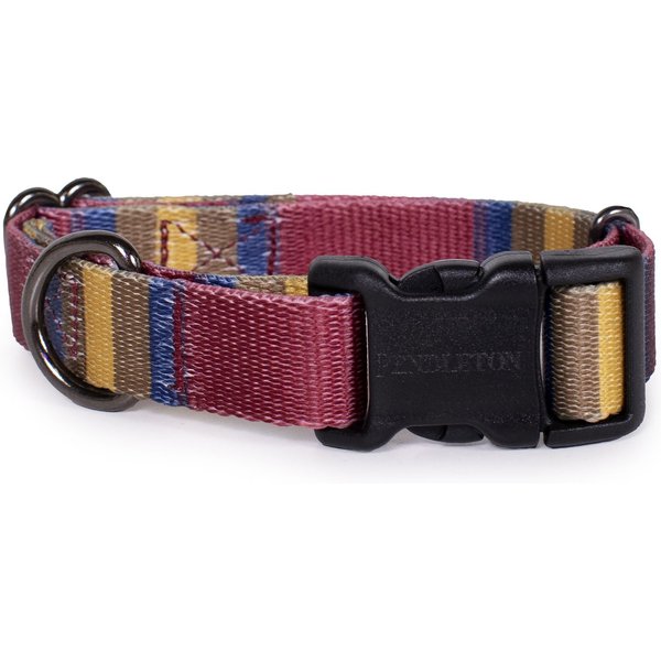 PENDLETON National Park Adventure Polyester Dog Collar, Zion, Small: 11 ...