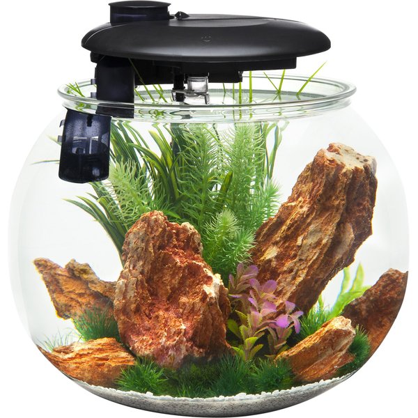 Out of Stock - PENN-PLAX Aquasphere 360⁰ Fish Aquarium, 10-gal - Chewy.com