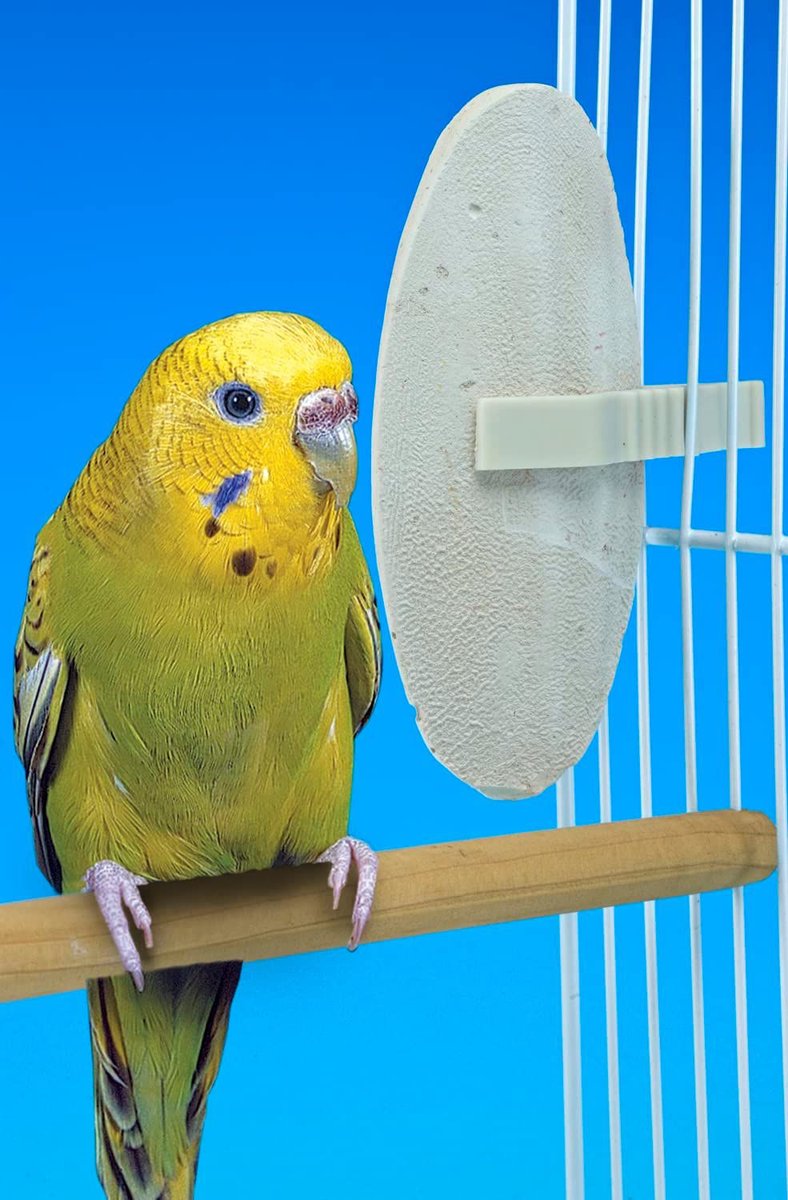 PENN-PLAX Bird-Life Natural E Cuttlebones Bird Supplement, 2 count ...