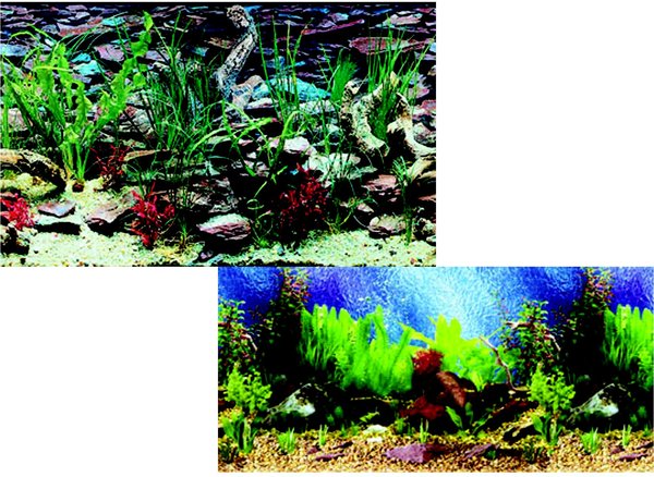 PENN-PLAX Double-Sided Aquarium Fish Background, Tropical Blue ...