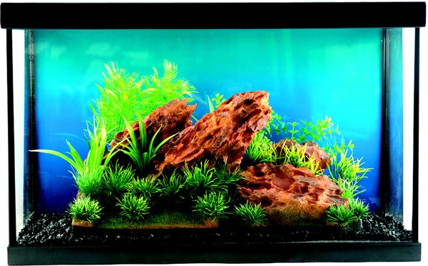 Out of Stock - PENN-PLAX Insta-Aquascape Aquarium Plant & Rock ...