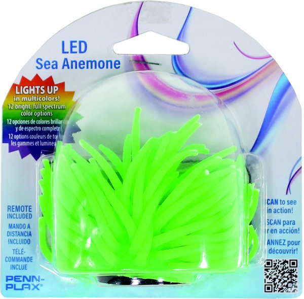PENN-PLAX LED Light-Up Silicone Sea Anemone Fish Light Fixture - Chewy.com