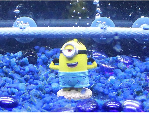 PENN-PLAX Minions Mini Resin Bundle Aquarium Decoration Set, 3-pack ...