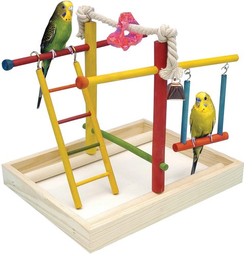 Parakeet Perches | Buy Bird Perches & Stands for Parakeets - Chewy