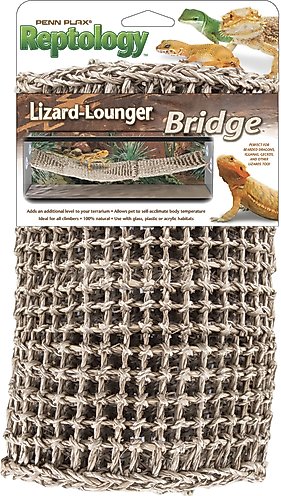 Crested Gecko Tanks & Habitats | Chewy