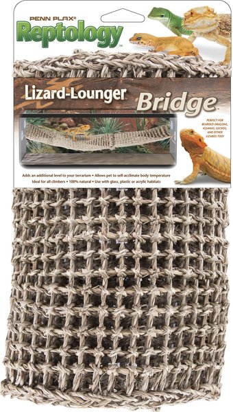 PENN-PLAX Reptology Bridge Lizard Lounger - Chewy.com