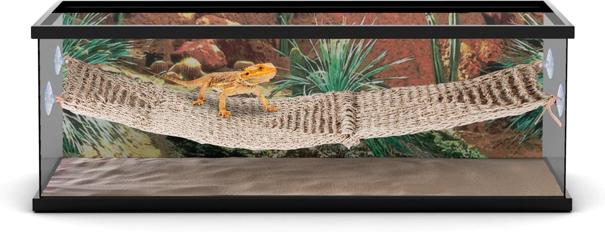 PENN-PLAX Reptology Bridge Lizard Lounger - Chewy.com