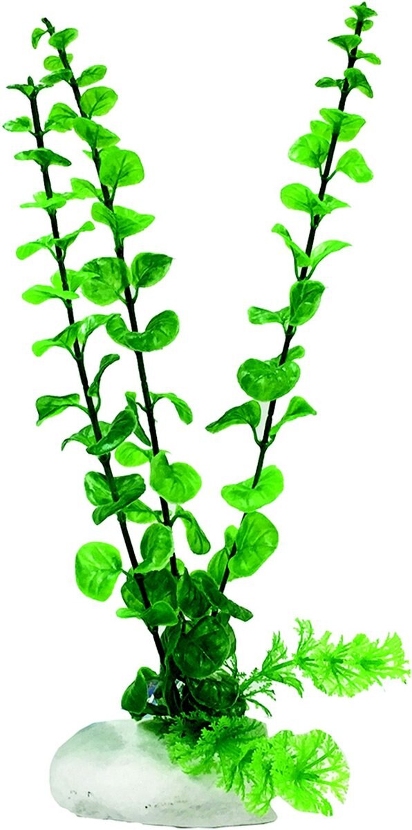 PENN-PLAX Rock Fish Plant, 12-in H, Green - Chewy.com
