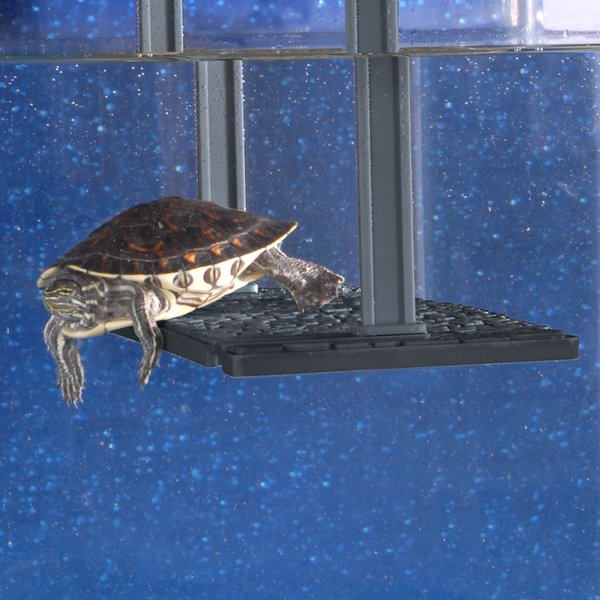 PENN-PLAX Turtle Topper Above Tank Basking Platform, 14-in - Chewy.com