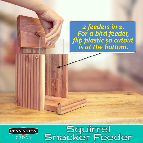 PENNINGTON Cedar Squirrel Snacker Feeder - Chewy.com