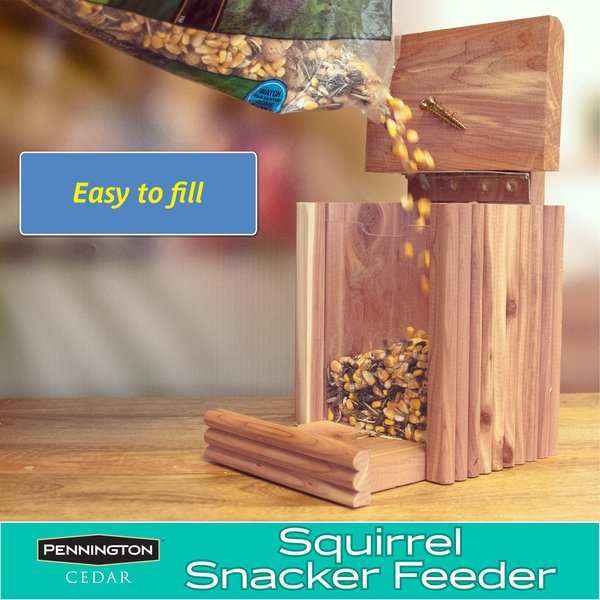 PENNINGTON Cedar Squirrel Snacker Feeder - Chewy.com