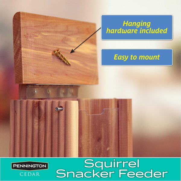 PENNINGTON Cedar Squirrel Snacker Feeder - Chewy.com