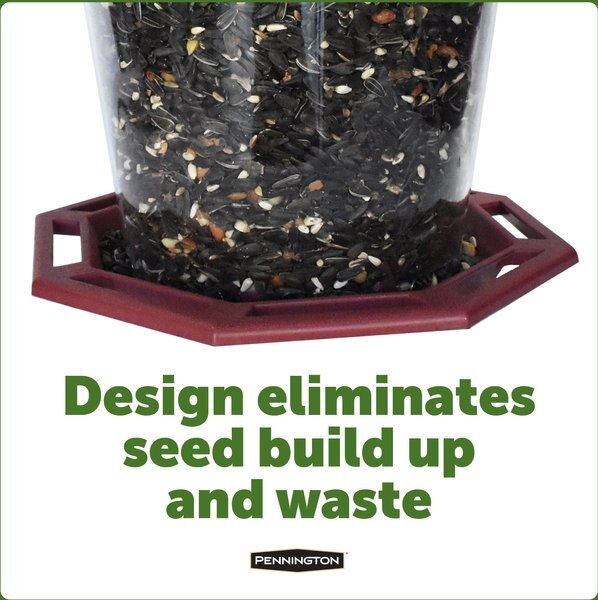 PENNINGTON Earth Smart Recycled Grand Ecozebo Bird Feeder - Chewy.com