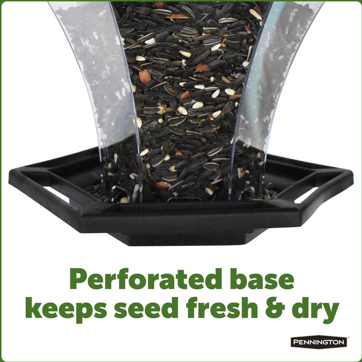 PENNINGTON Garden Coach Light Bird Feeder - Chewy.com