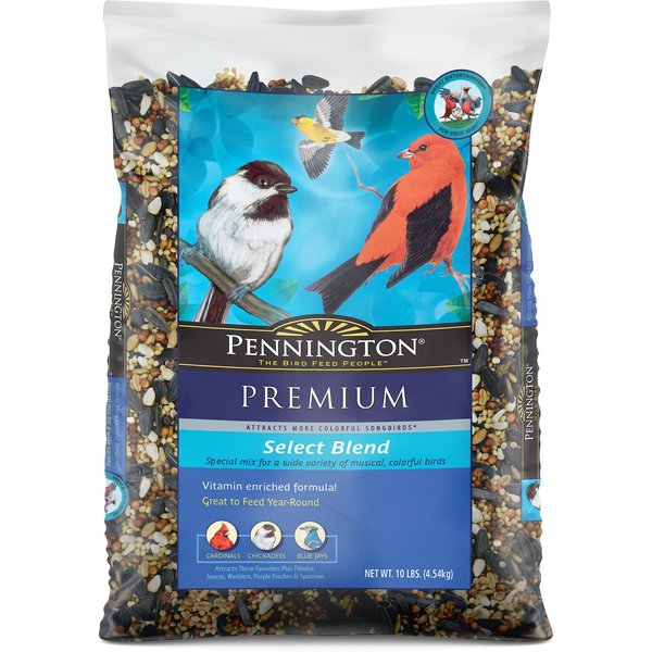 PENNINGTON Premium Select Blend Bird Food, 10-lb bag - Chewy.com