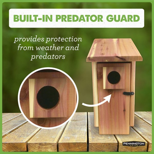 Discontinued - PENNINGTON Pride Cedar Predator Guard Bird House - Chewy.com