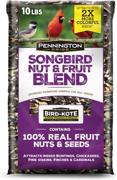 PENNINGTON Pride Songbird Nut & Fruit Blend Bird Food, 10-lb bag - Chewy.com