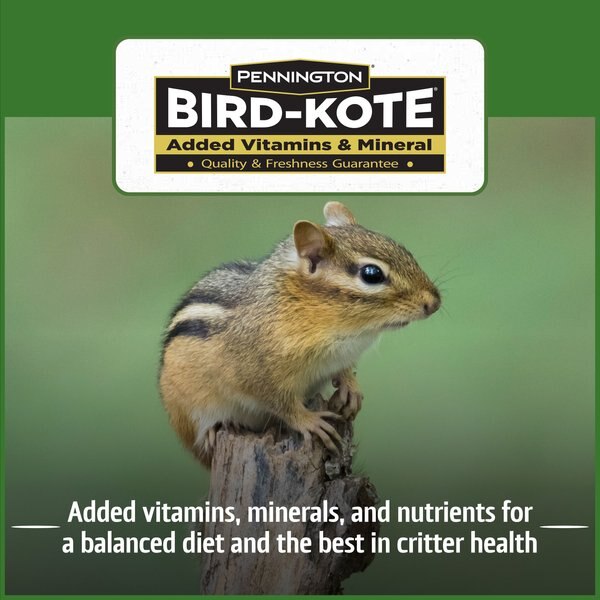 PENNINGTON Pride Squirrel & Critter Bird Food Blend, 10-lb bag - Chewy.com