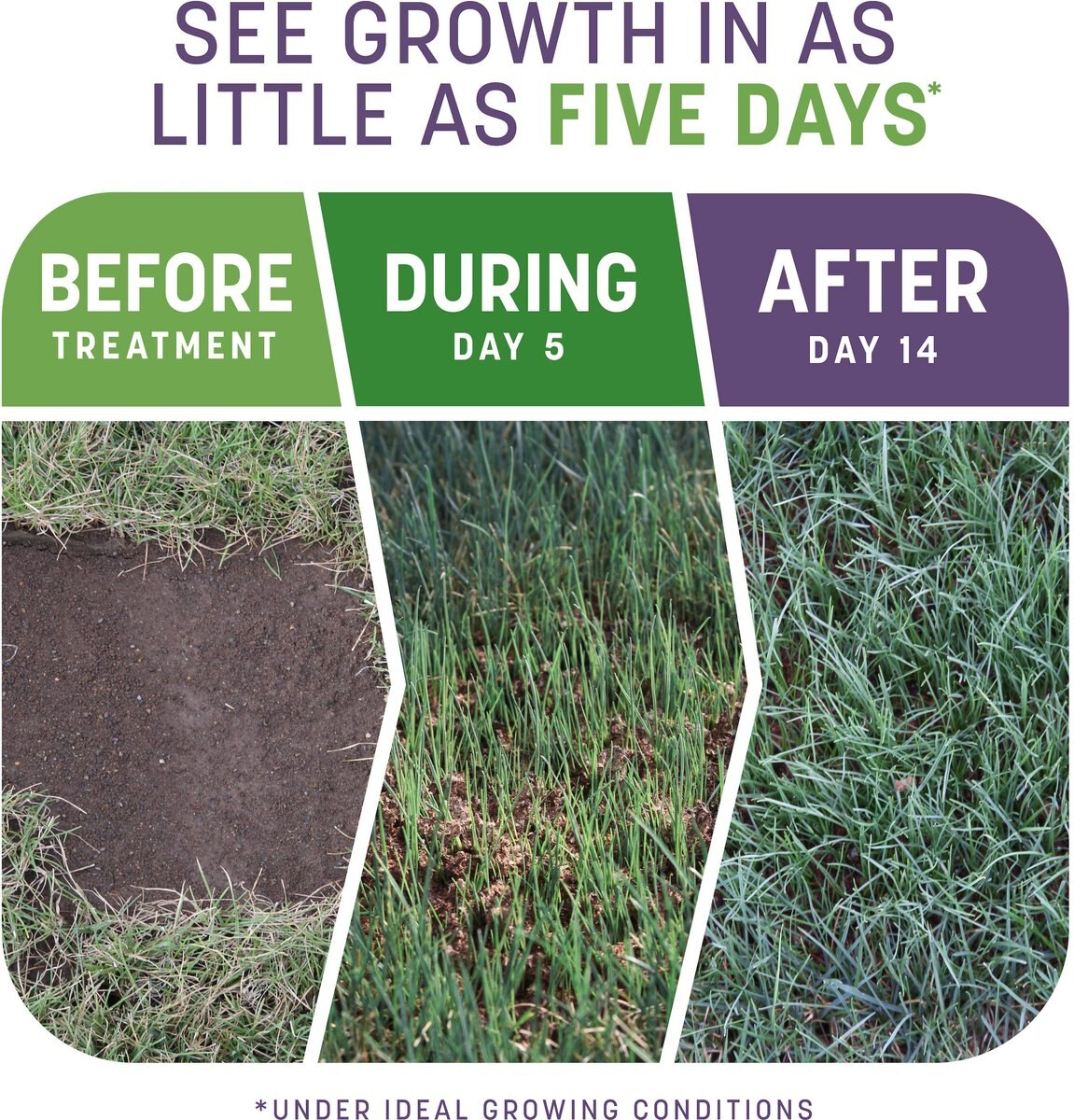 PENNINGTON Smart Patch Dense Shade Mix Dog Lawn-Treatment & Grass Saver ...