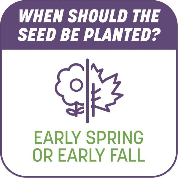 PENNINGTON Smart Patch Dense Shade Mix Dog Lawn-Treatment & Grass Saver ...