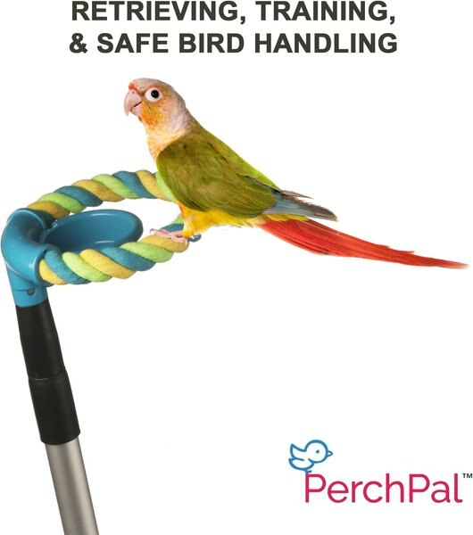PERCHPAL Bird Training Perch - Chewy.com