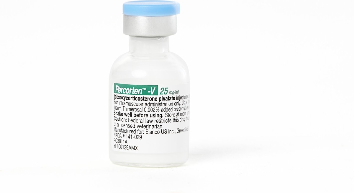 PERCORTEN-V (desoxycorticosterone pivalate) Injectable for Dogs, 25 mg ...