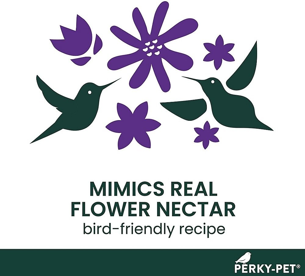 PERKY-PET Ready to Use Clear Nectar Hummingbird Food, 16-oz can, 4 ...