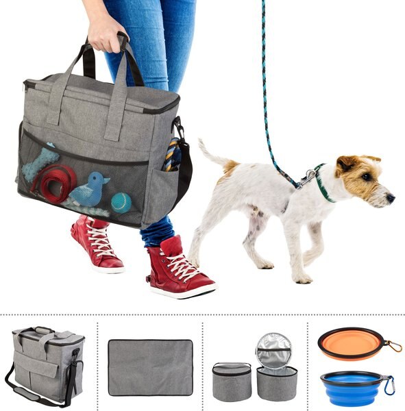 PET ADOBE Dog & Cat Travel Bag & Bowl - Chewy.com