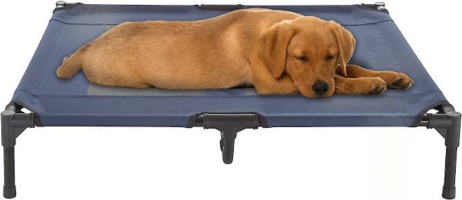 PET ADOBE Elevated Dog Bed, Blue, Large - Chewy.com