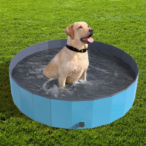 PET ADOBE Foldable Dog Pool, Blue, Large - Chewy.com