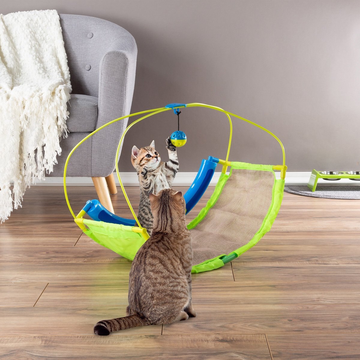 PET ADOBE Interactive Rocking Cat Activity Mat - Chewy.com