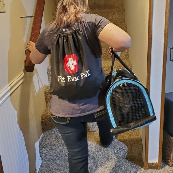 PET EVAC PAK Cat Emergency Kit - Chewy.com