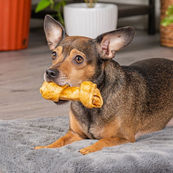 PET FACTORY Beefhide 4-inch Chicken Flavored Dog Bones, 18 count ...