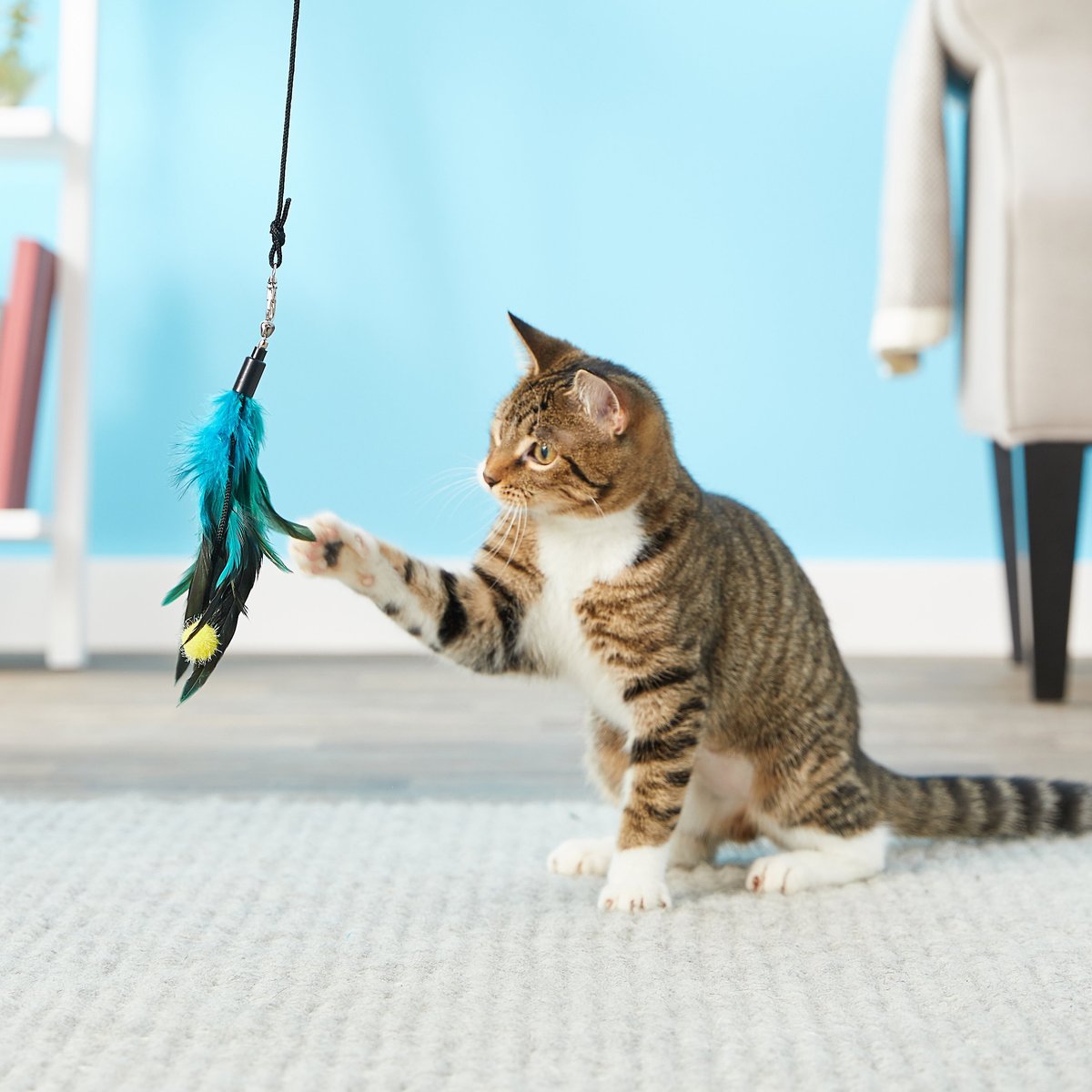 PET FIT FOR LIFE 4 Piece Dual Rod Wand Cat Toy - Chewy.com