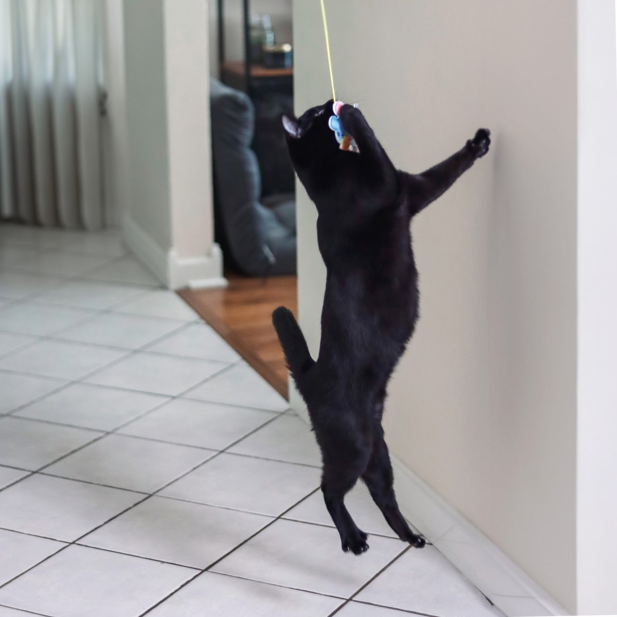 PET FIT FOR LIFE Catnip Pillow Tails & Hanging Cat Toy, 3 count - Chewy.com